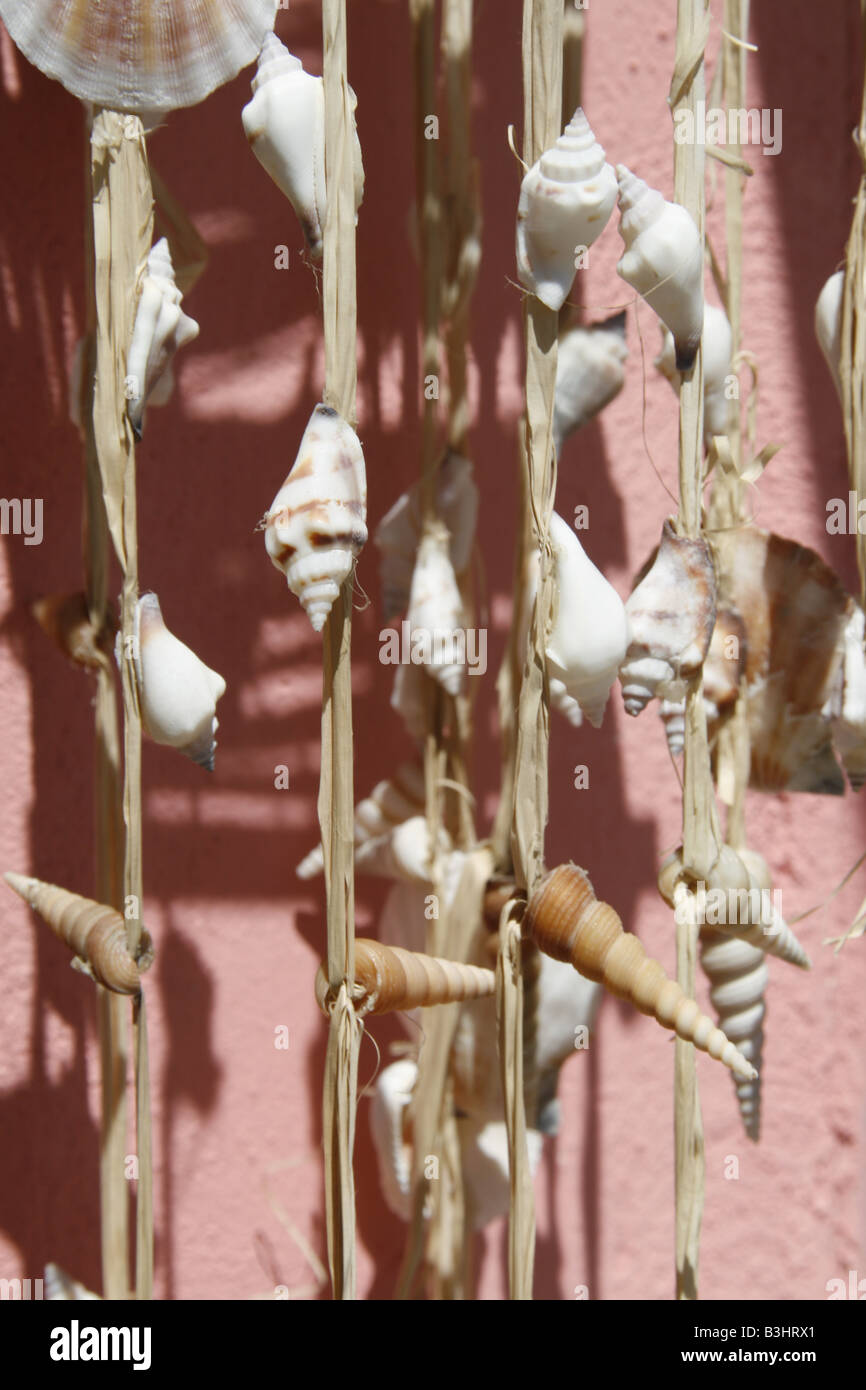sea shells strands curtains by door window in summer Stock Photo - Alamy