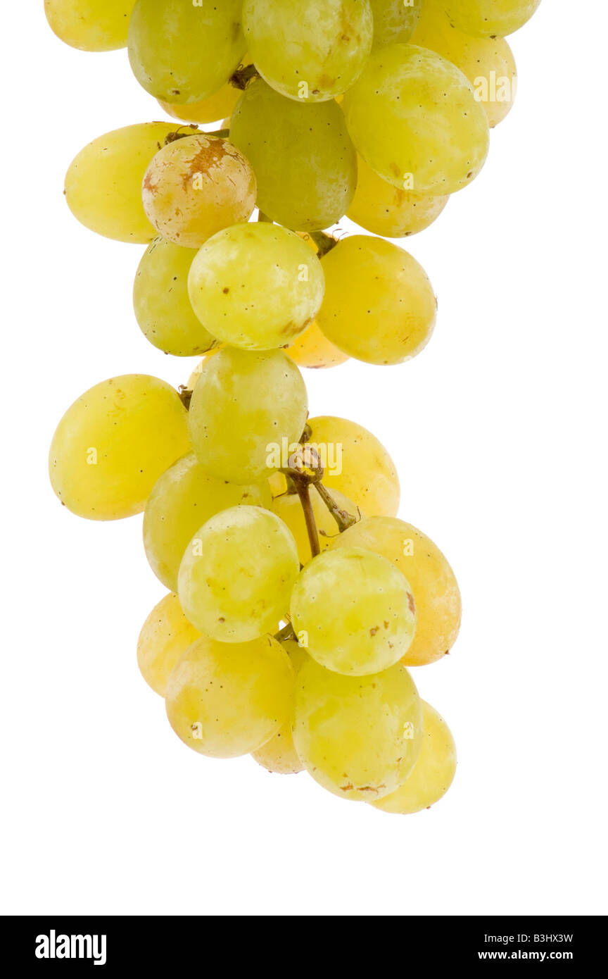 object on white food green grapes Stock Photo - Alamy