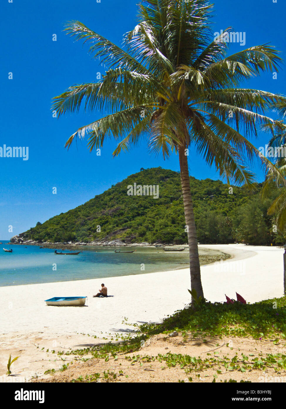 Palm tree on beach with tourist relaxing at Tong Nai Pan Yai Koh ...