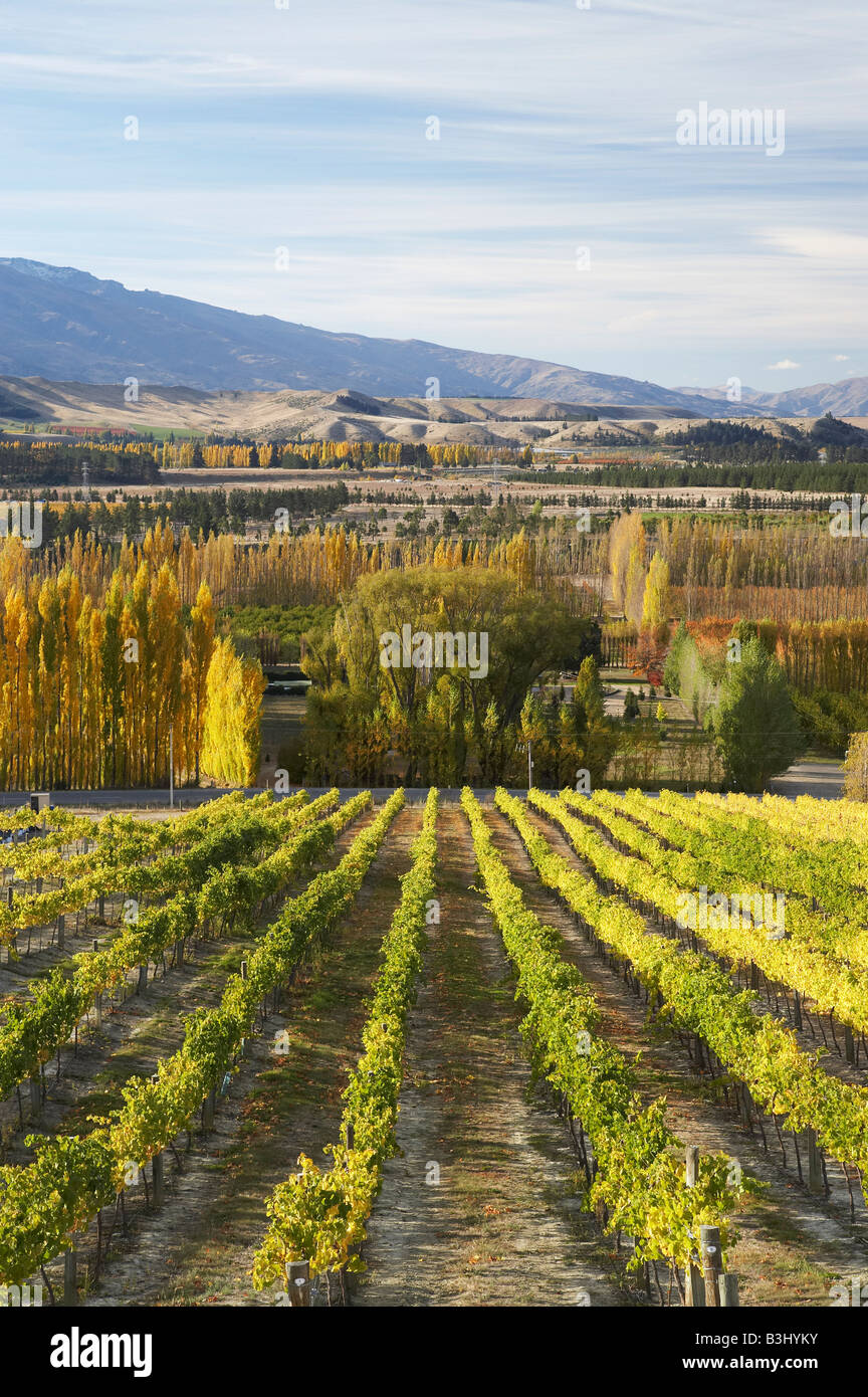 Mount difficulty, new zealand hi-res stock photography and images - Alamy