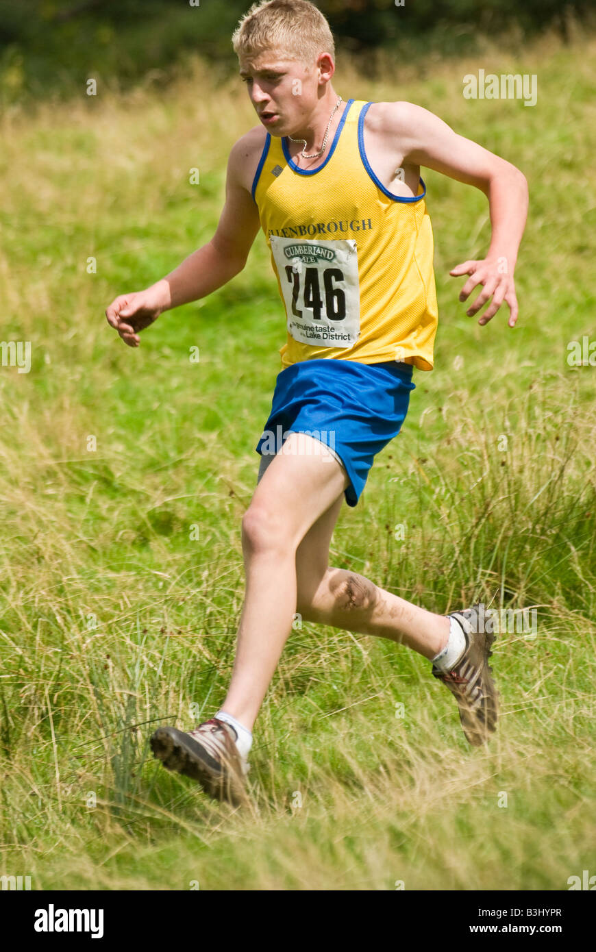 Fellrunner at Grasmere show Stock Photo - Alamy