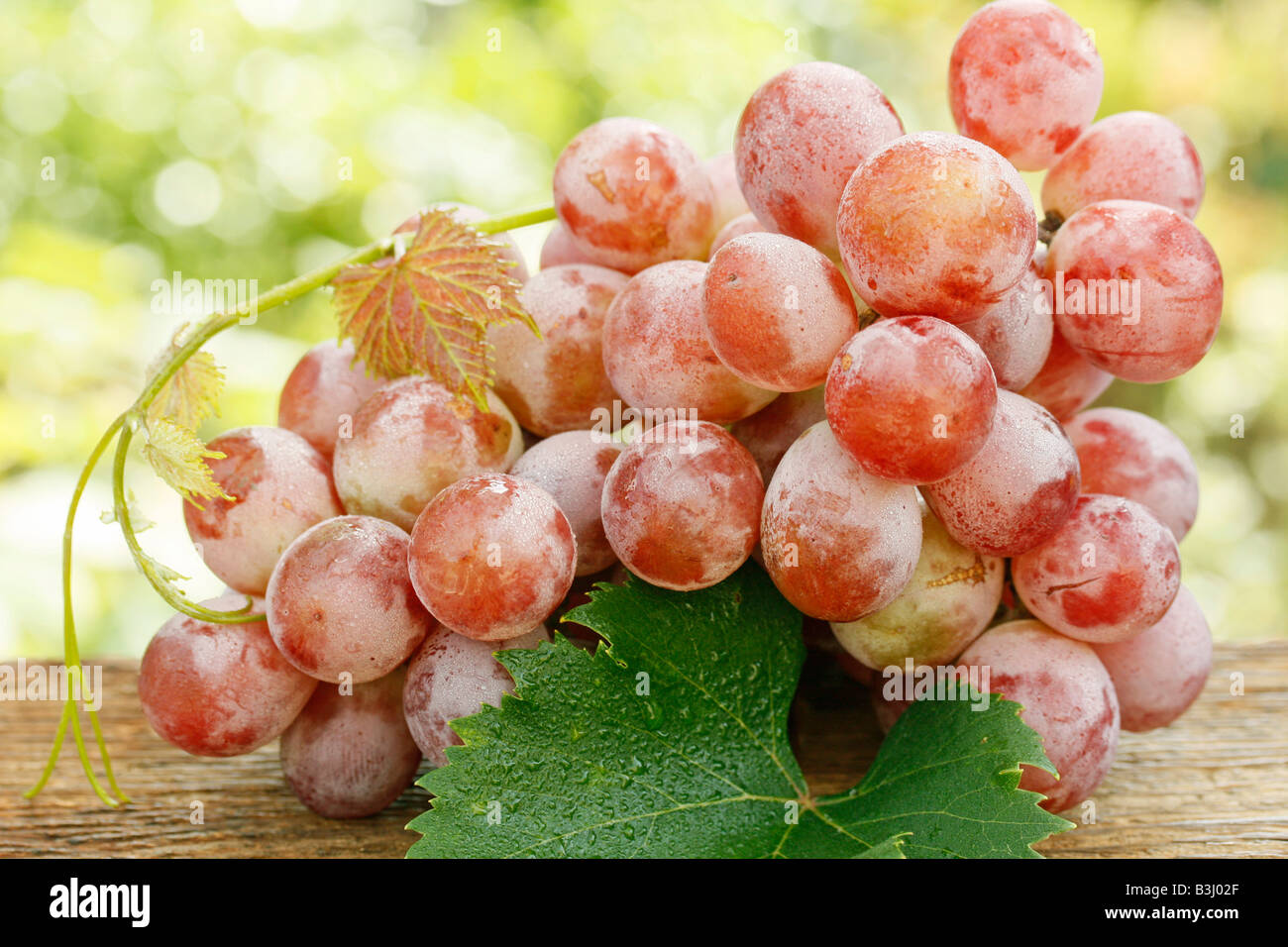 Grapes in natural background Stock Photo - Alamy