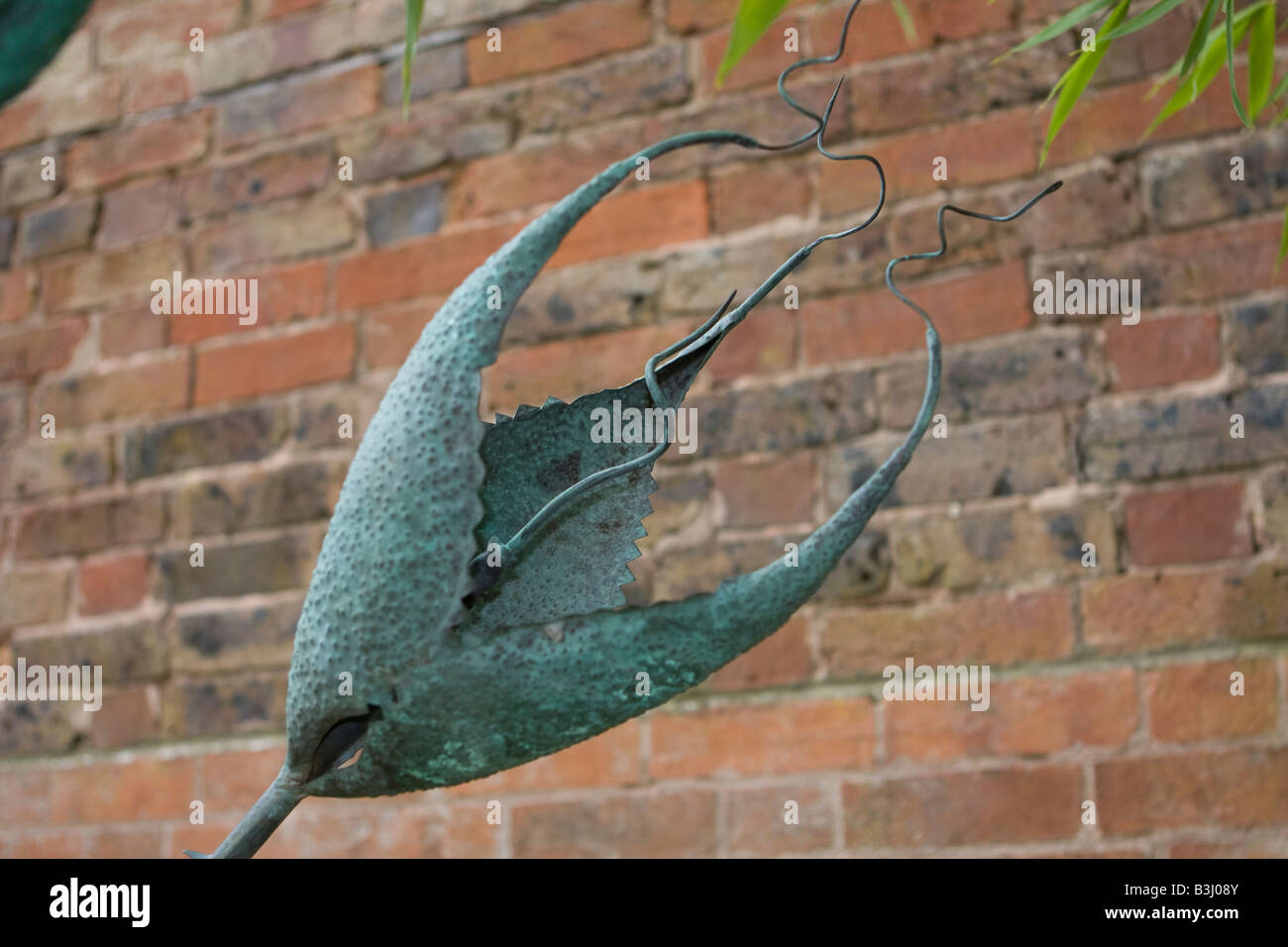 Organic forms hi-res stock photography and images - Alamy