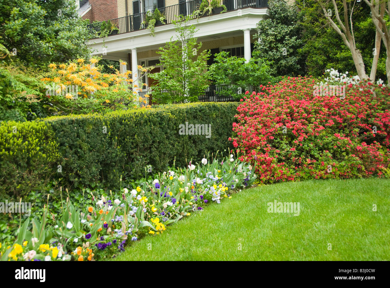 Washington dc tulips hi-res stock photography and images - Alamy
