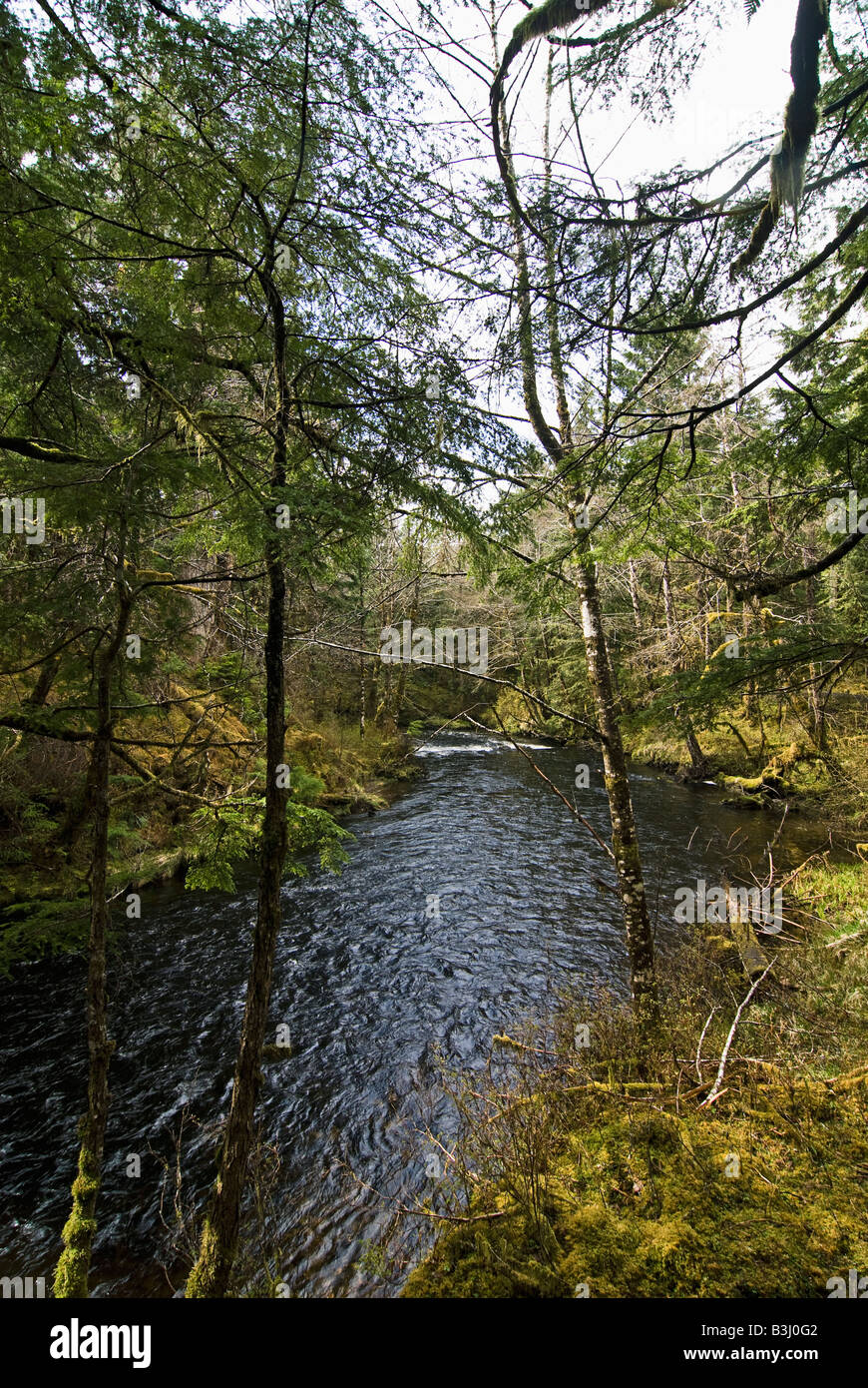 Alaska ketchikan hi-res stock photography and images - Alamy