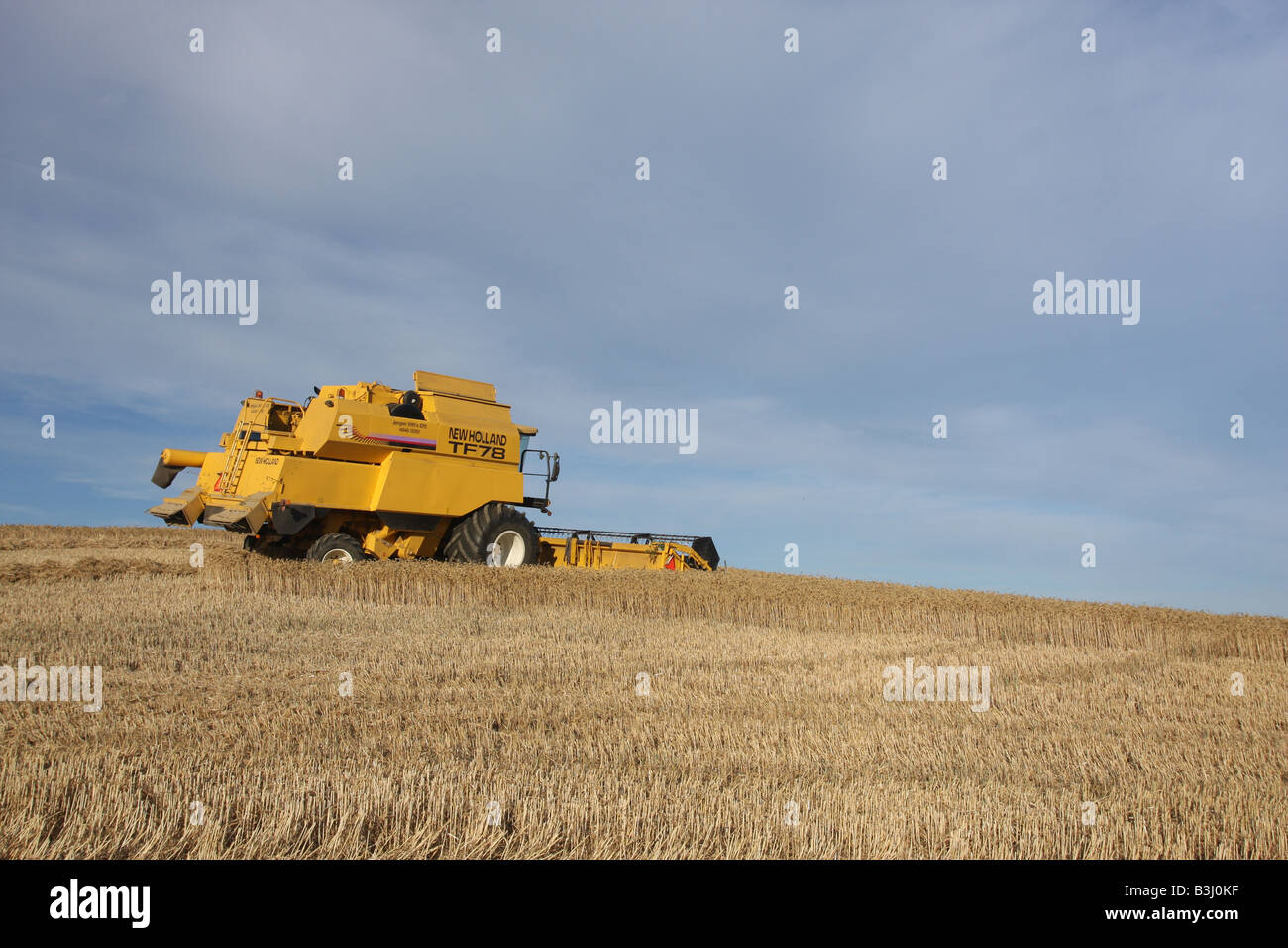 Harvesting in denmark a sunny summer day Stock Photo - Alamy