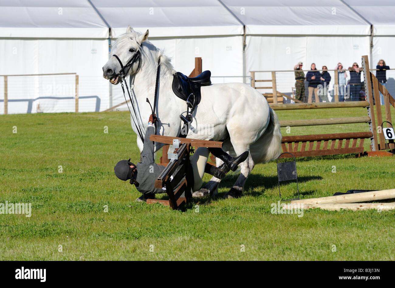 Show jumping competitor falling at a jump. Royal Highland Show 2008 ...