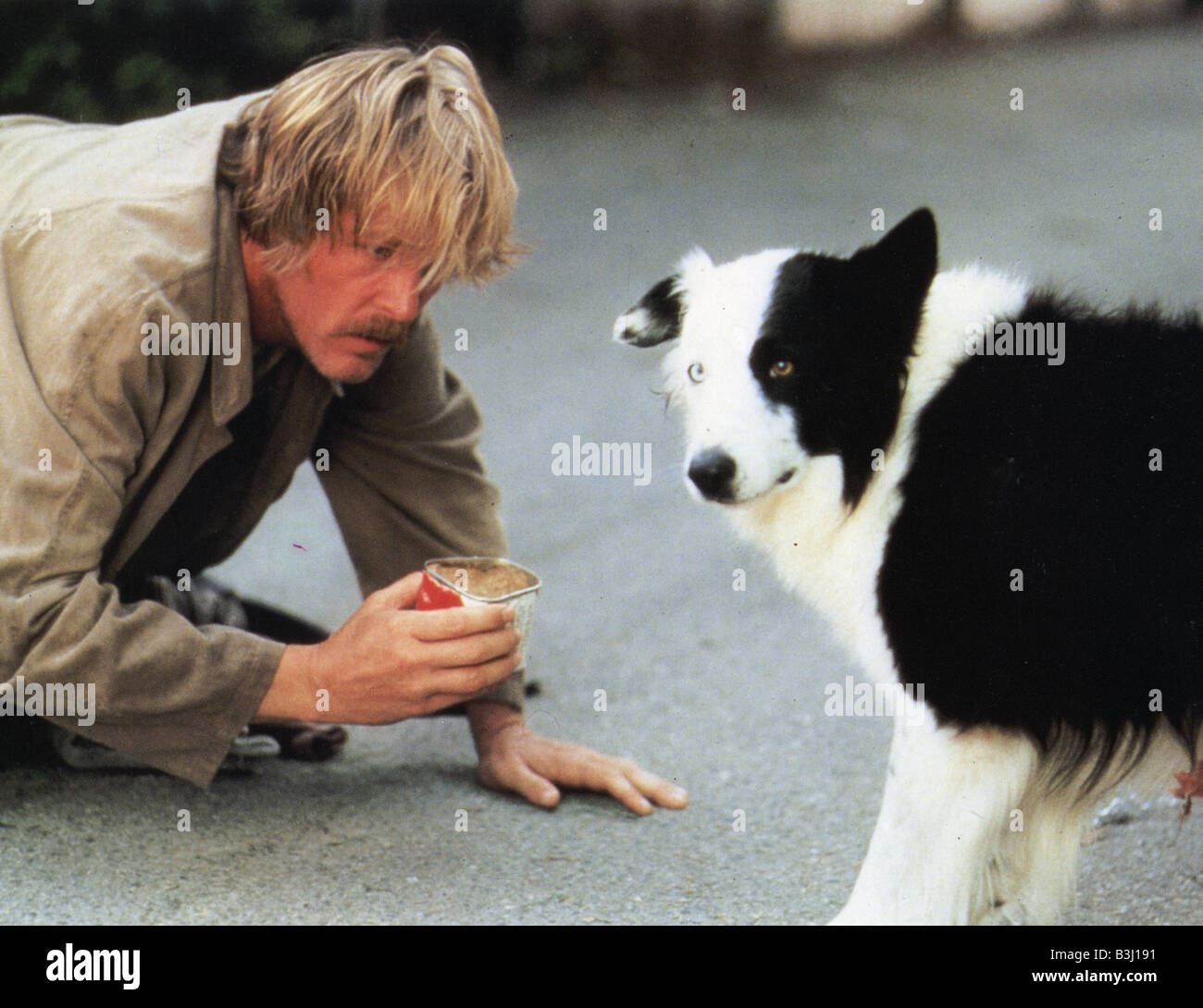 DOWN AND OUT IN BEVERLY HILLS1985 Touchstone film with Nick Nolte Stock ...