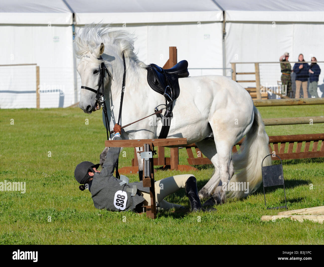 Show jumping competitor falling at a jump. Royal Highland Show 2008 ...