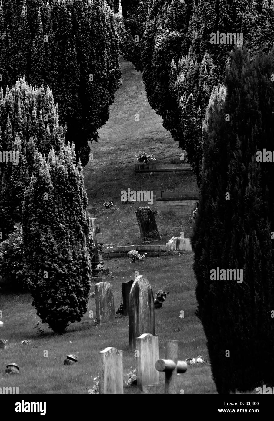 Tombstone gravestone epitaph cemetery hi-res stock photography and ...