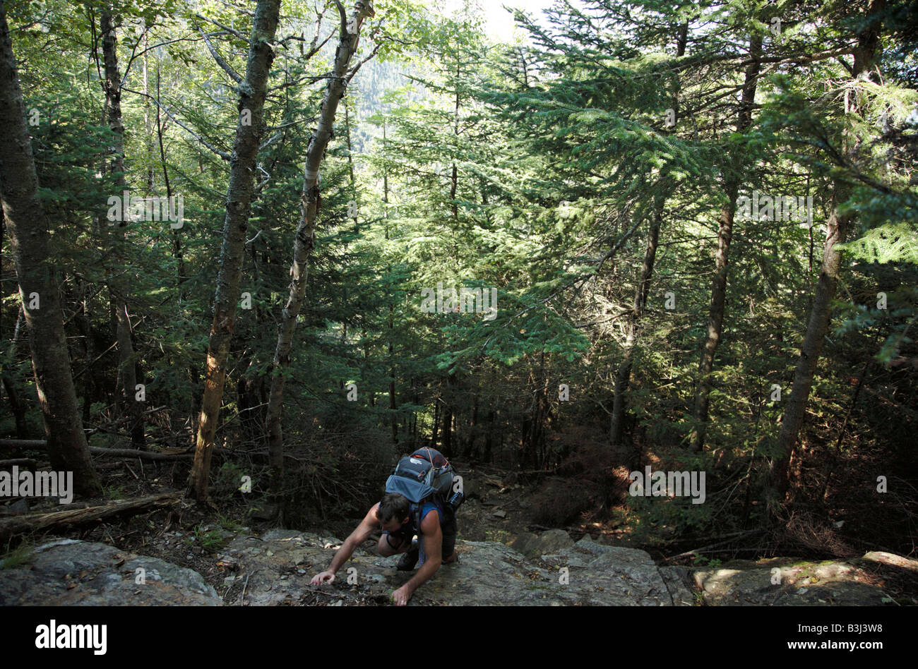Flume Slide Trail headed for the summit of Mount Flume Located in the ...