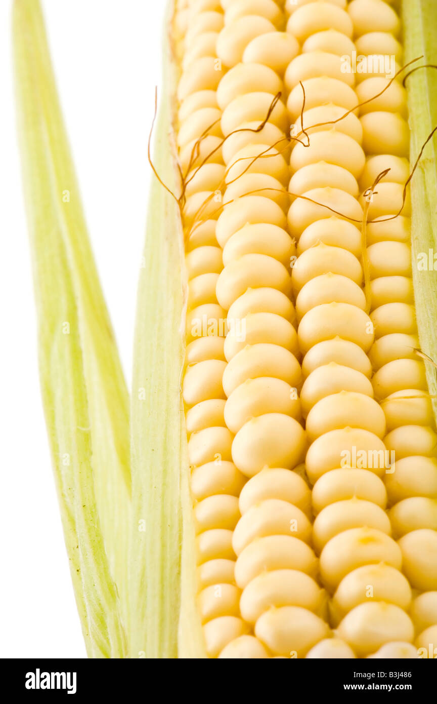 object on white food corn in cob Stock Photo - Alamy