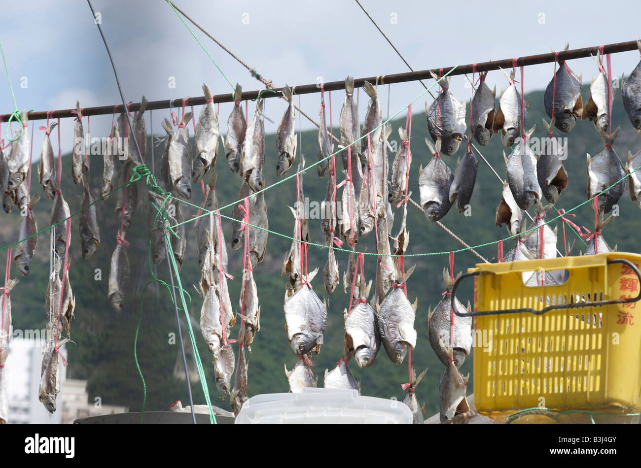Fish on fishing deck High Resolution Stock Photography and Images - Alamy