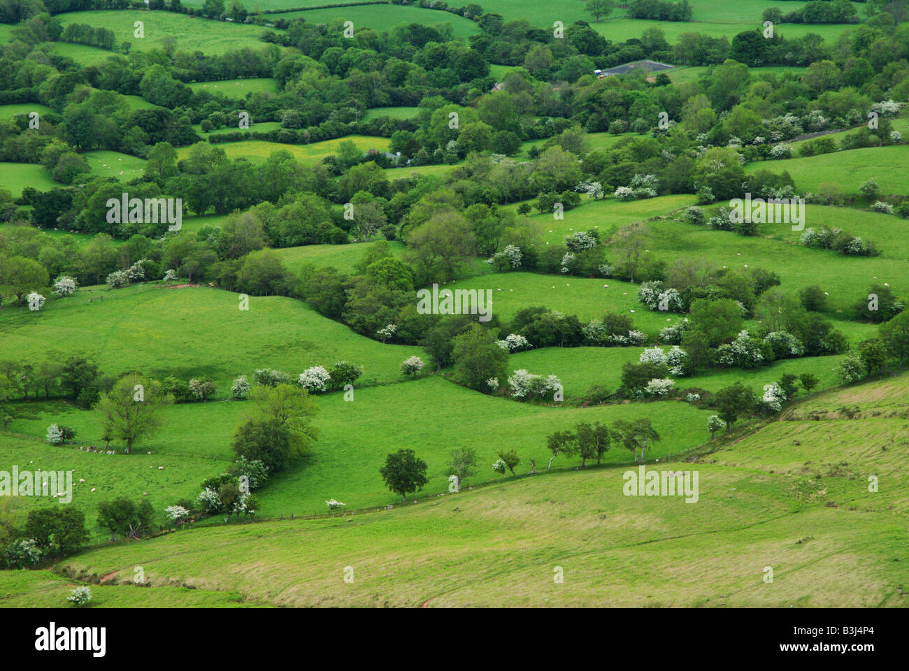 The view of fields from the high moor above the tiny fields in the ...