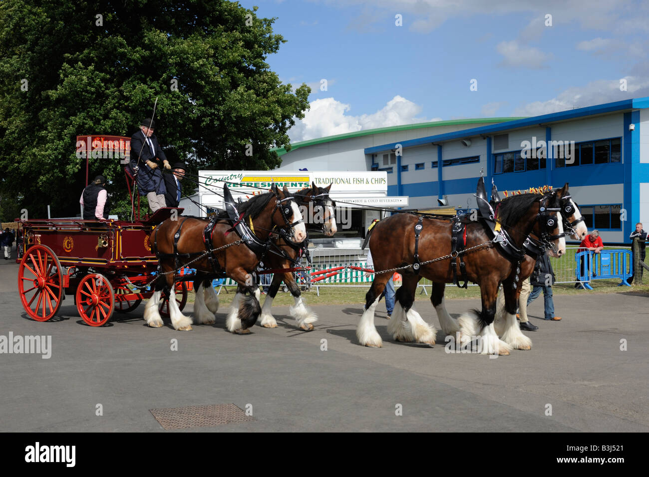 Shire horse and cart High Resolution Stock Photography and Images - Alamy