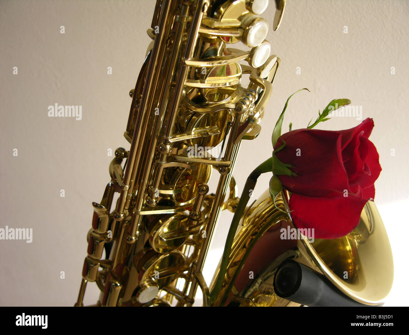 Close up of saxophone bell and red rose against a pink background Stock ...