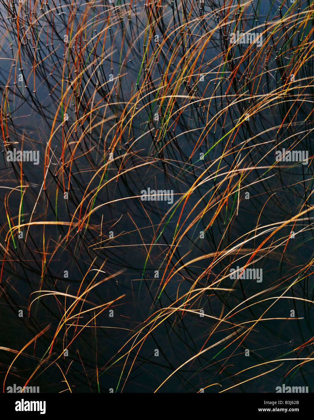 Multi na hi-res stock photography and images - Alamy