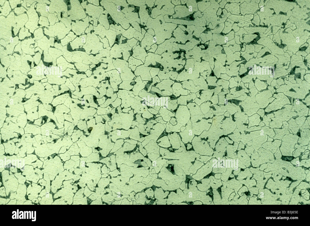 micrograph of low carbon manganese steel. The carbon makes the steel ...