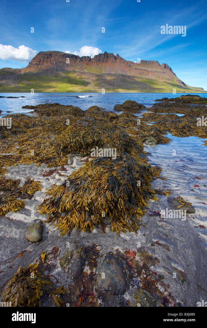 A scene from the Strandir Coast of Iceland Stock Photo - Alamy
