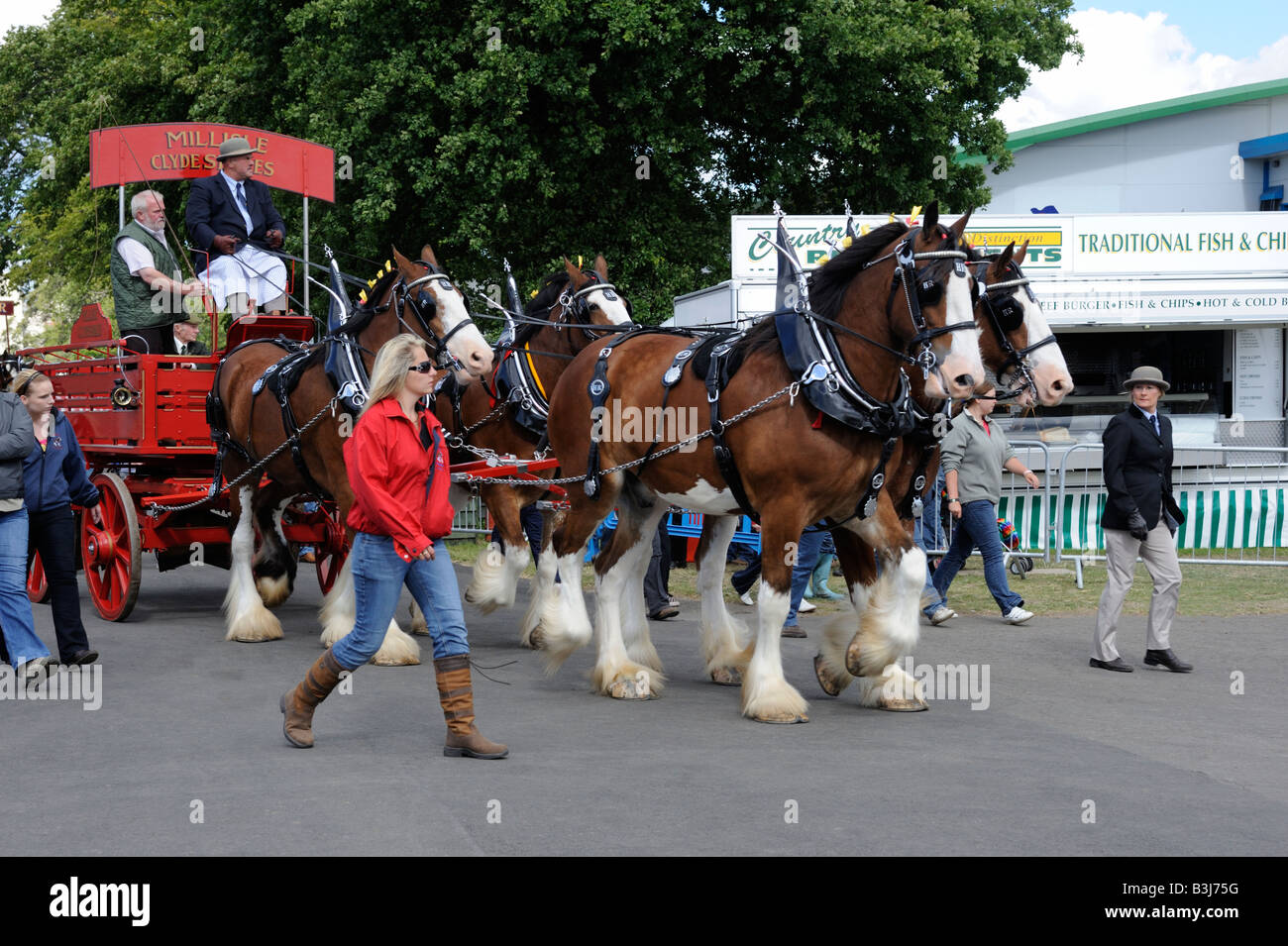 Shire horses and cart hi-res stock photography and images - Alamy