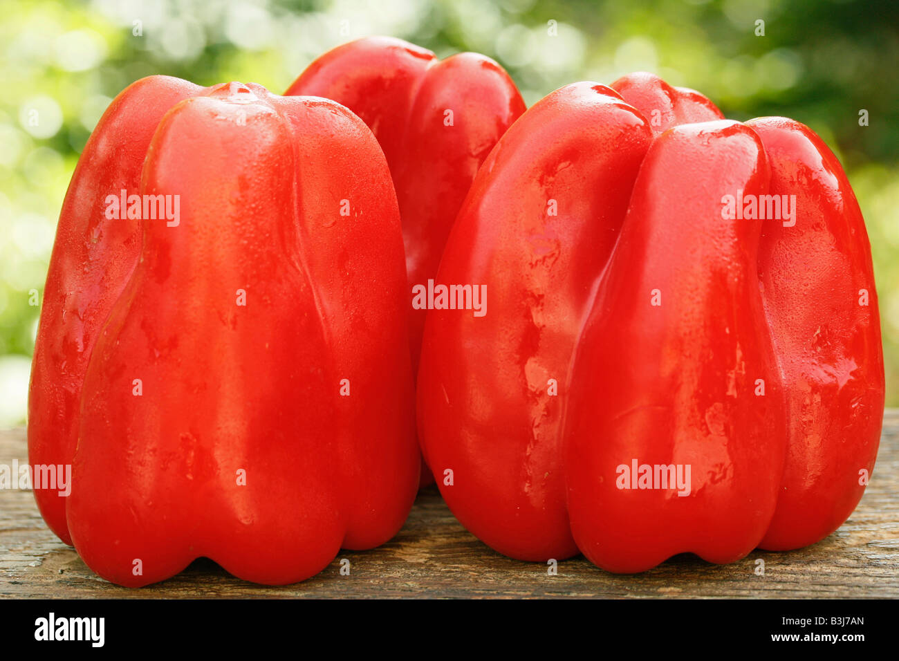 Peppers in natural background Stock Photo - Alamy