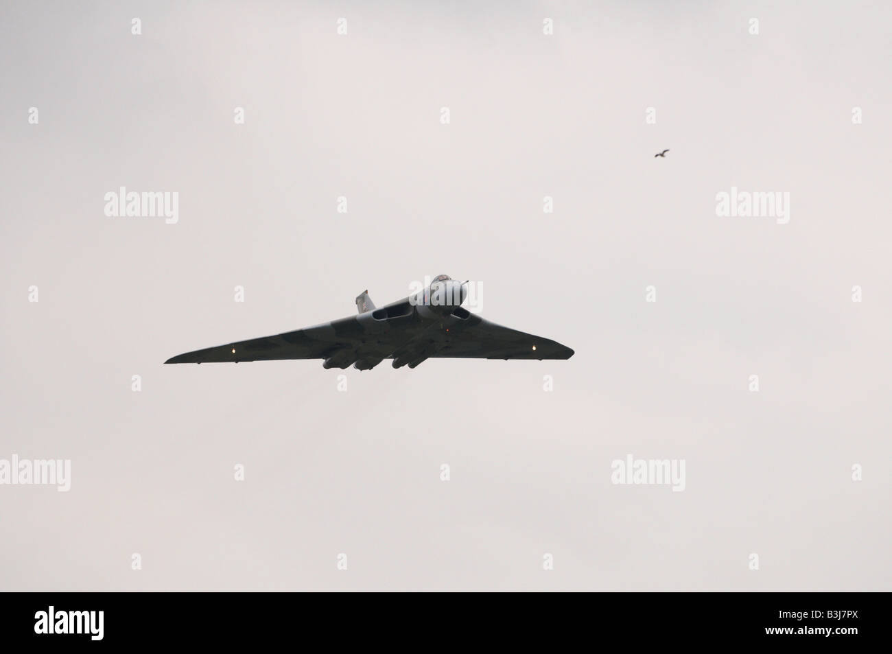 Restored Avro Vulcan Farnborough Air Show 2008 with a bird flying in ...