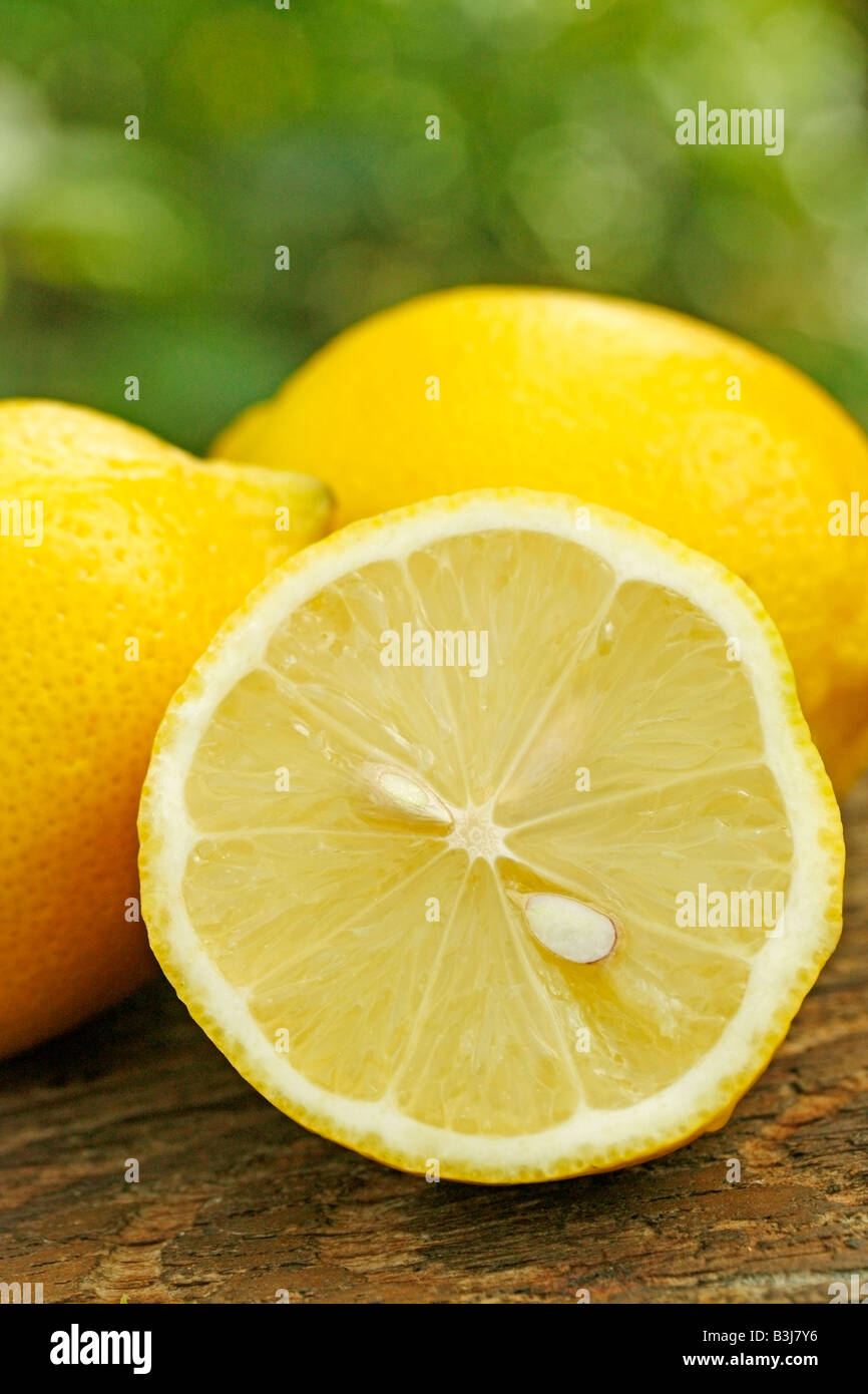 Lemons in natural background Stock Photo - Alamy