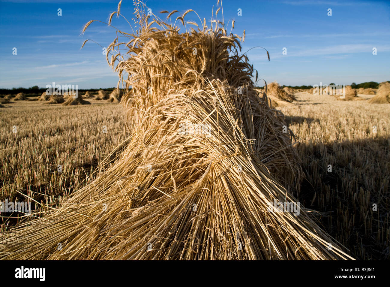 0014 hi-res stock photography and images - Alamy
