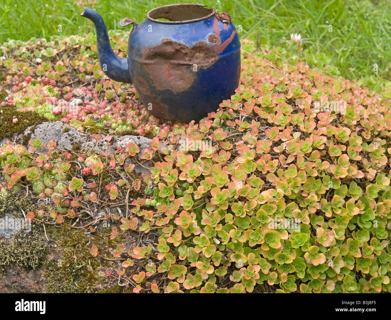 Broken teapot hi-res stock photography and images - Alamy