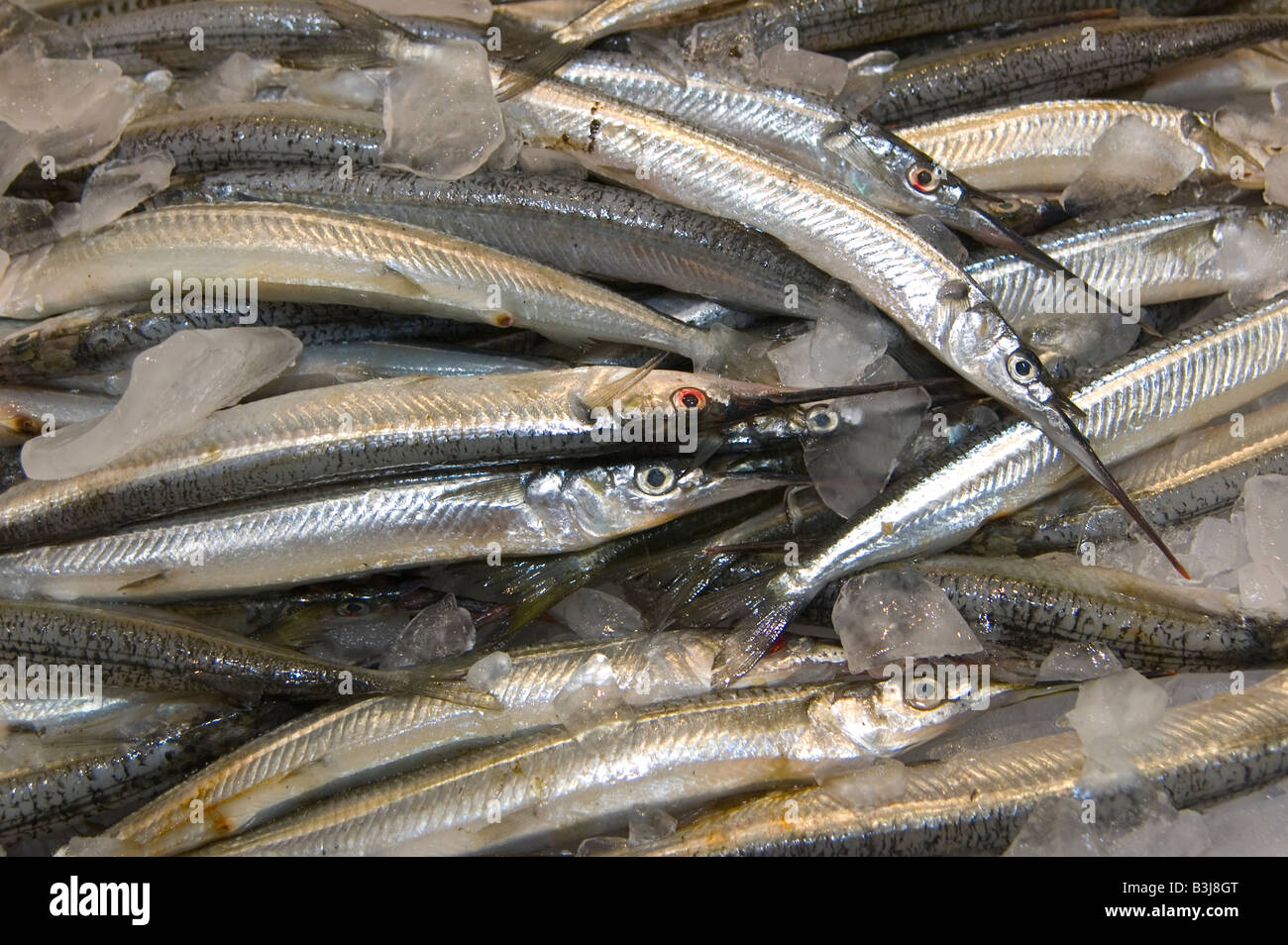 Garfish fish market hi-res stock photography and images - Alamy