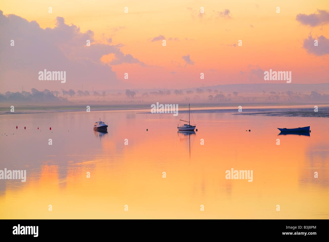 River Cleddau Lawrenny Pembrokeshire Wales Stock Photo - Alamy
