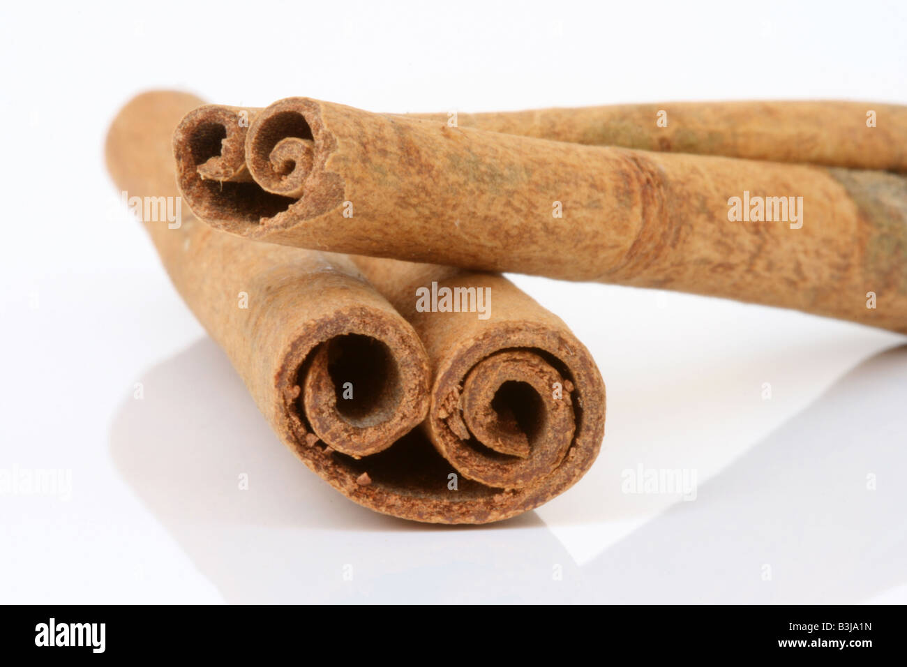 Cinnamon brown bark hi-res stock photography and images - Alamy