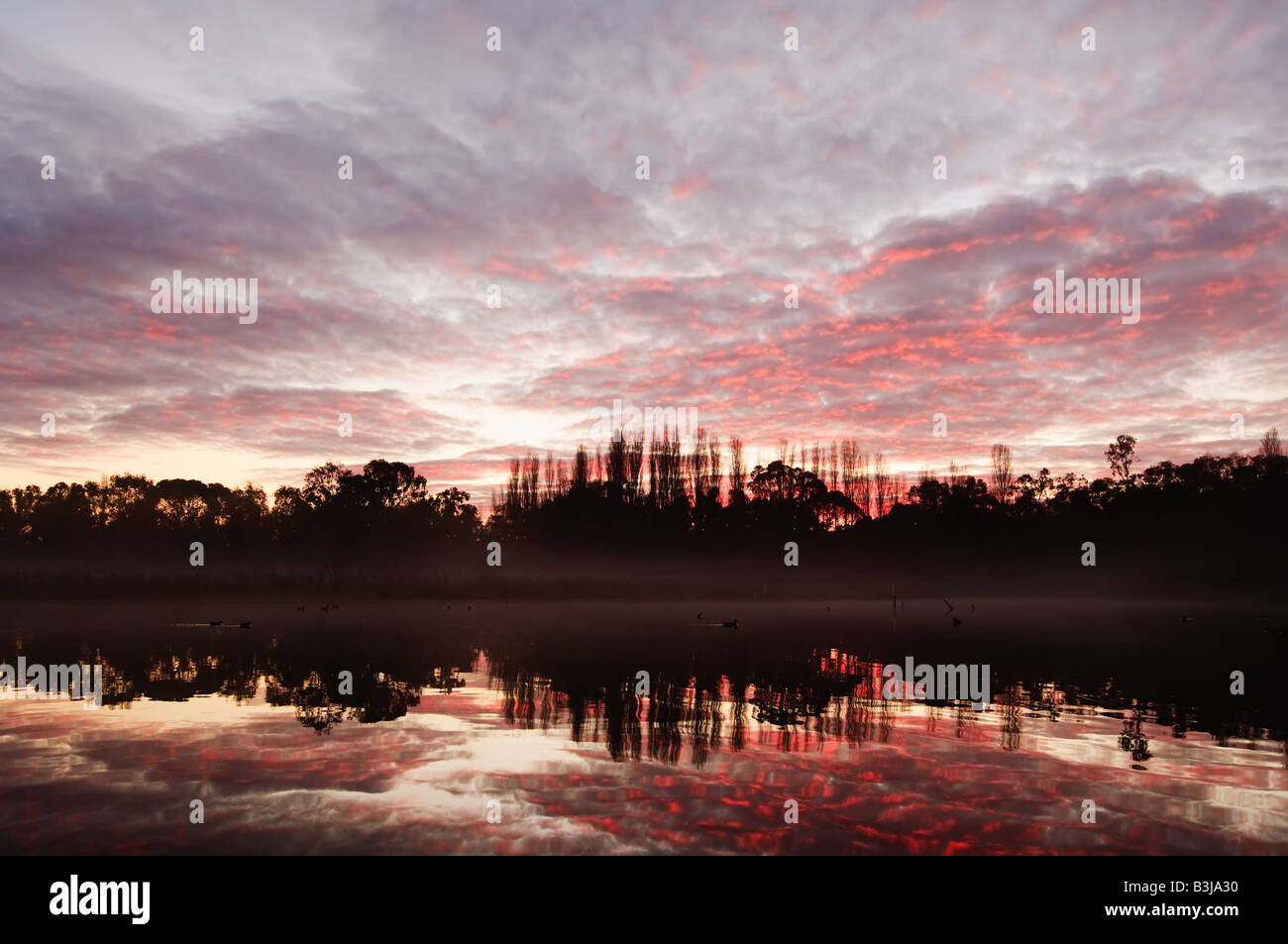 Challenge stadium hi-res stock photography and images - Alamy