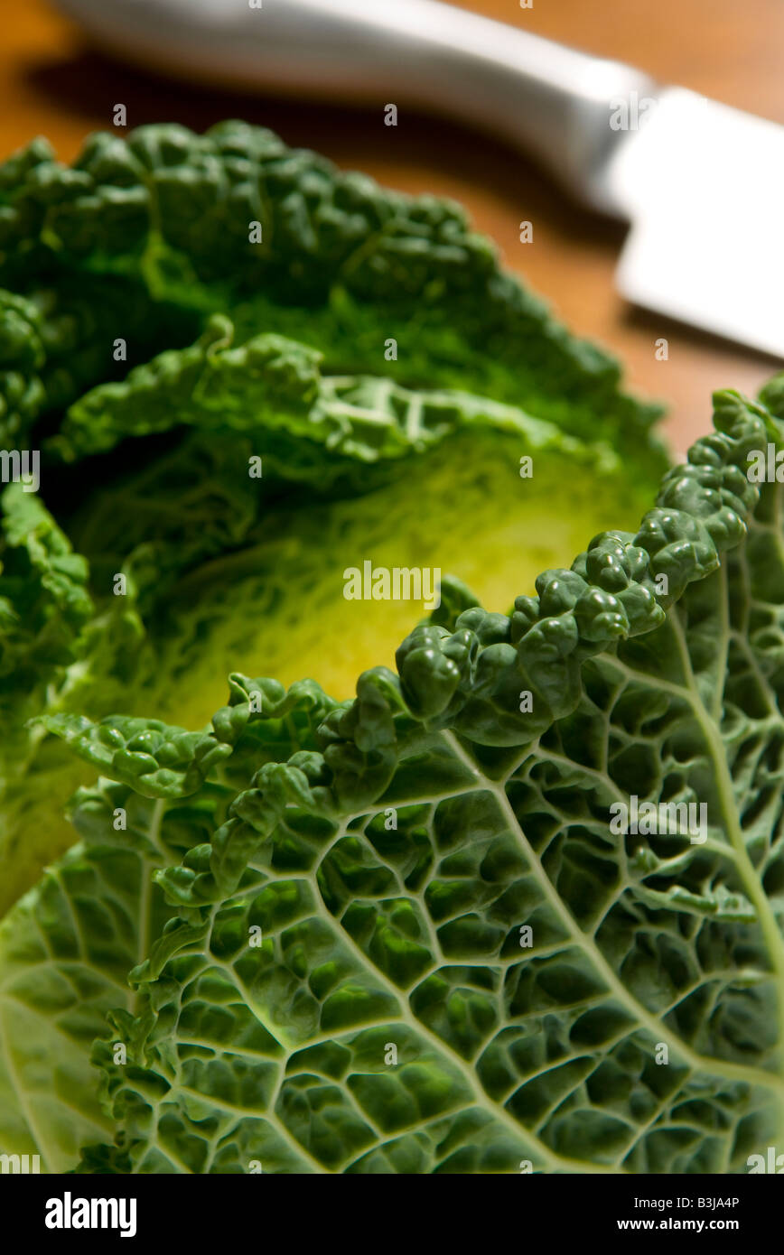 close up of cut cabbage Stock Photo - Alamy