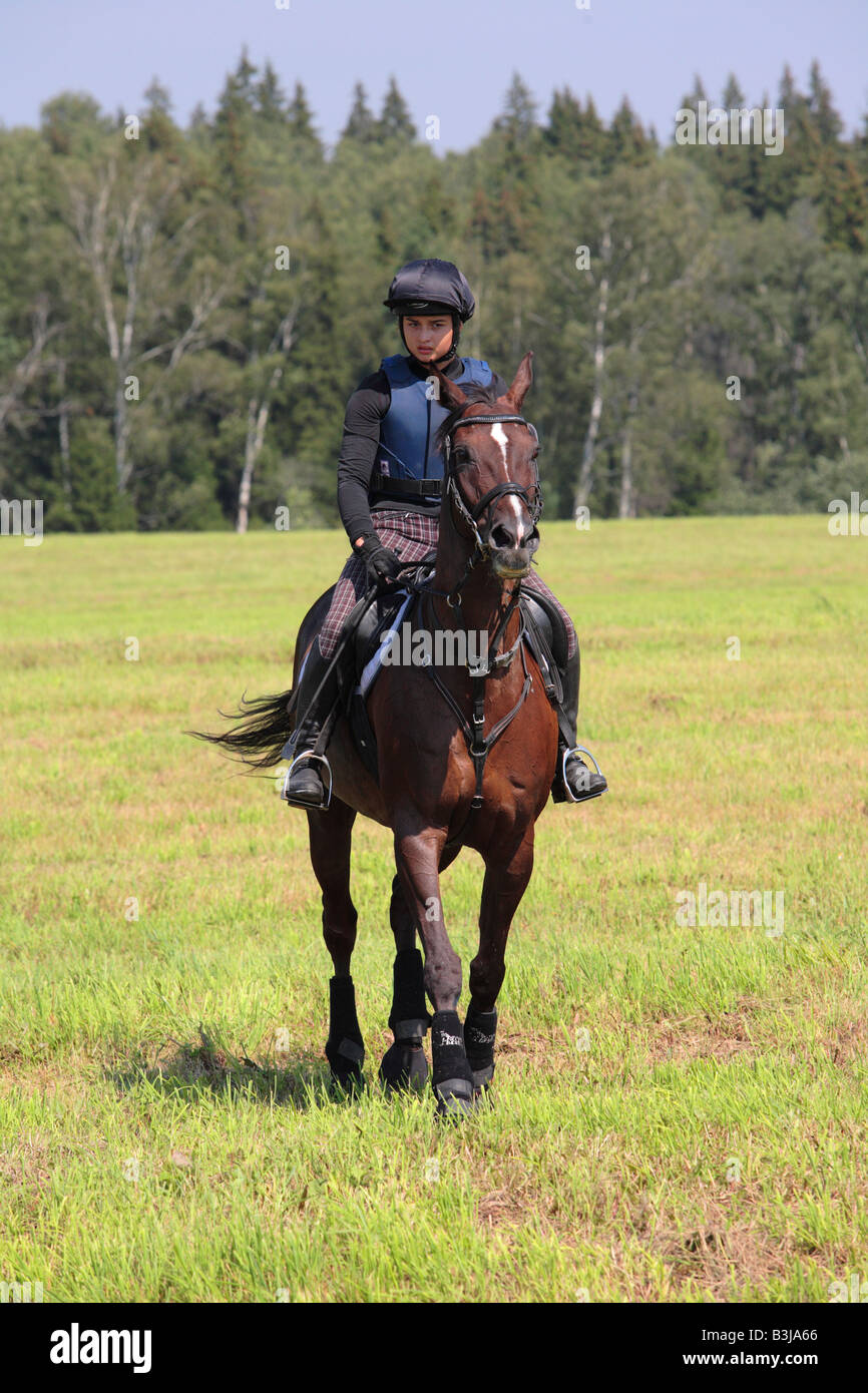 Sheval hi-res stock photography and images - Alamy