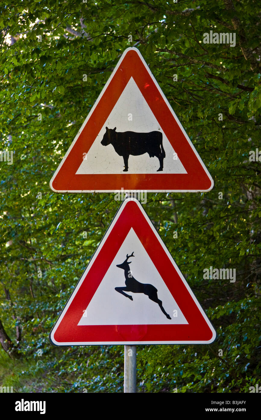Cow Road Signs High Resolution Stock Photography and Images - Alamy