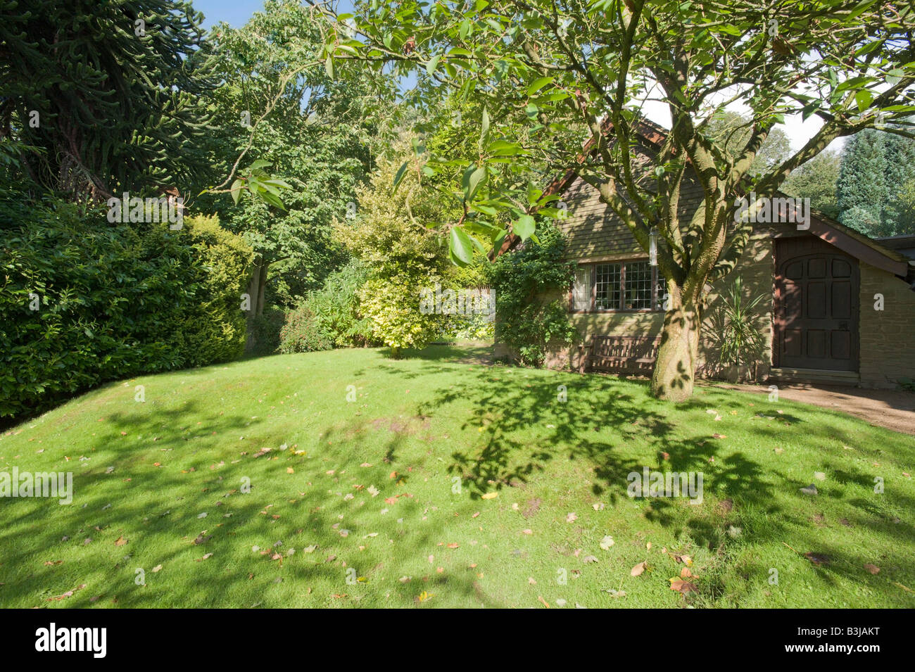 garden with large grass lawn Stock Photo - Alamy
