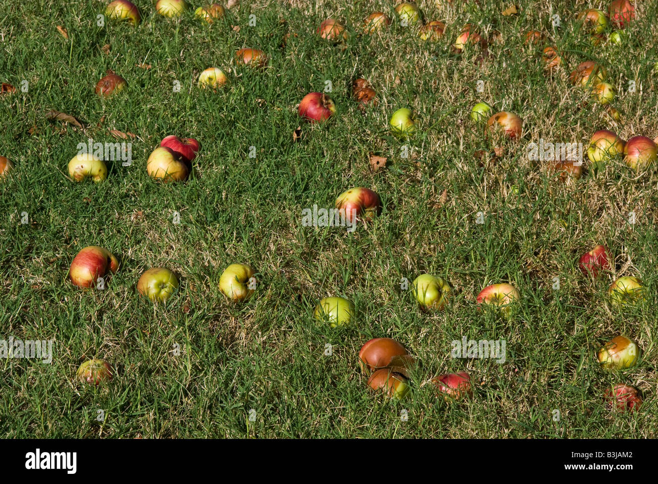 August september hi-res stock photography and images - Alamy