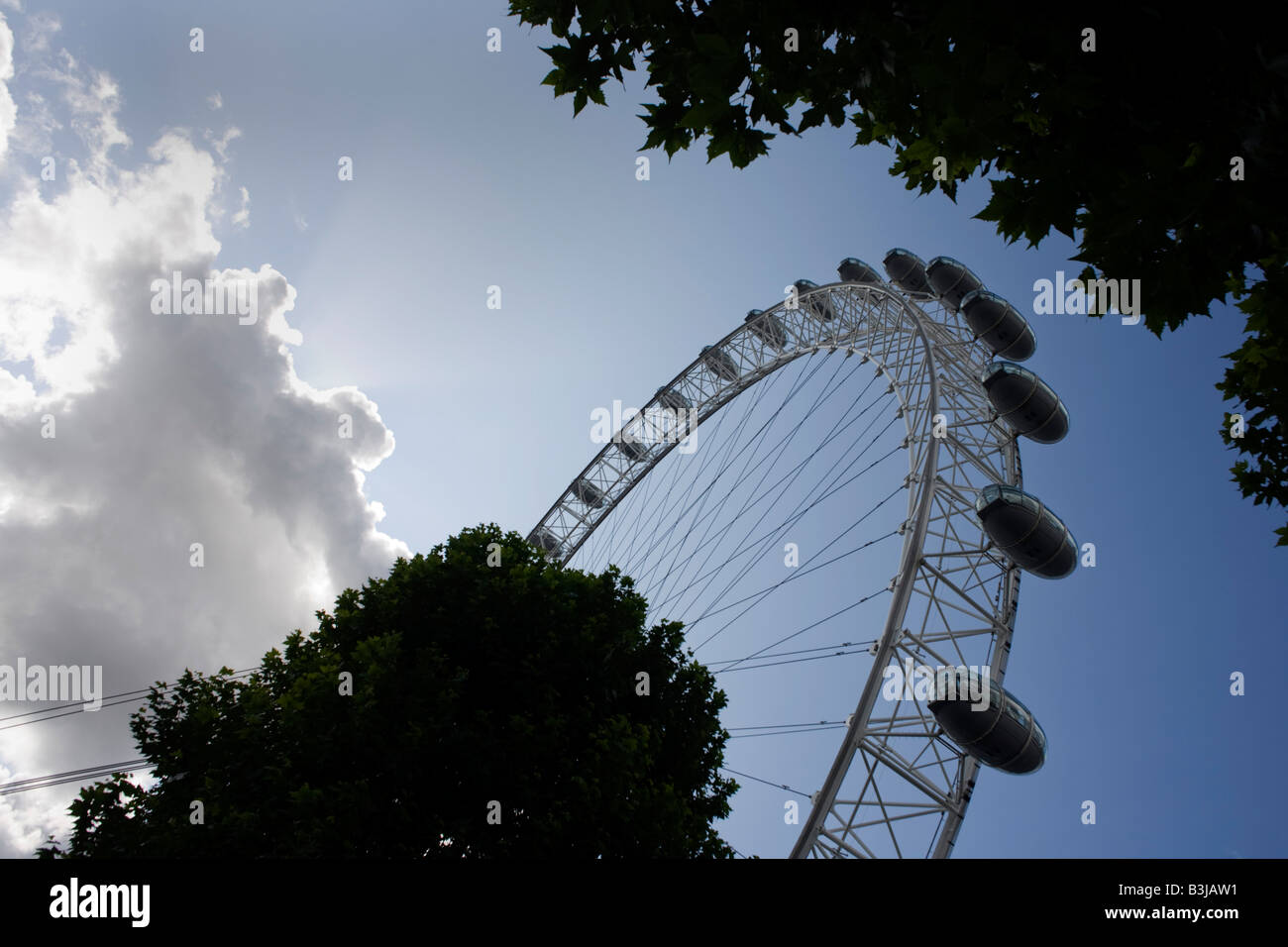 The 135 metres (443 ft) London Eye seen through summer tree foliage on ...