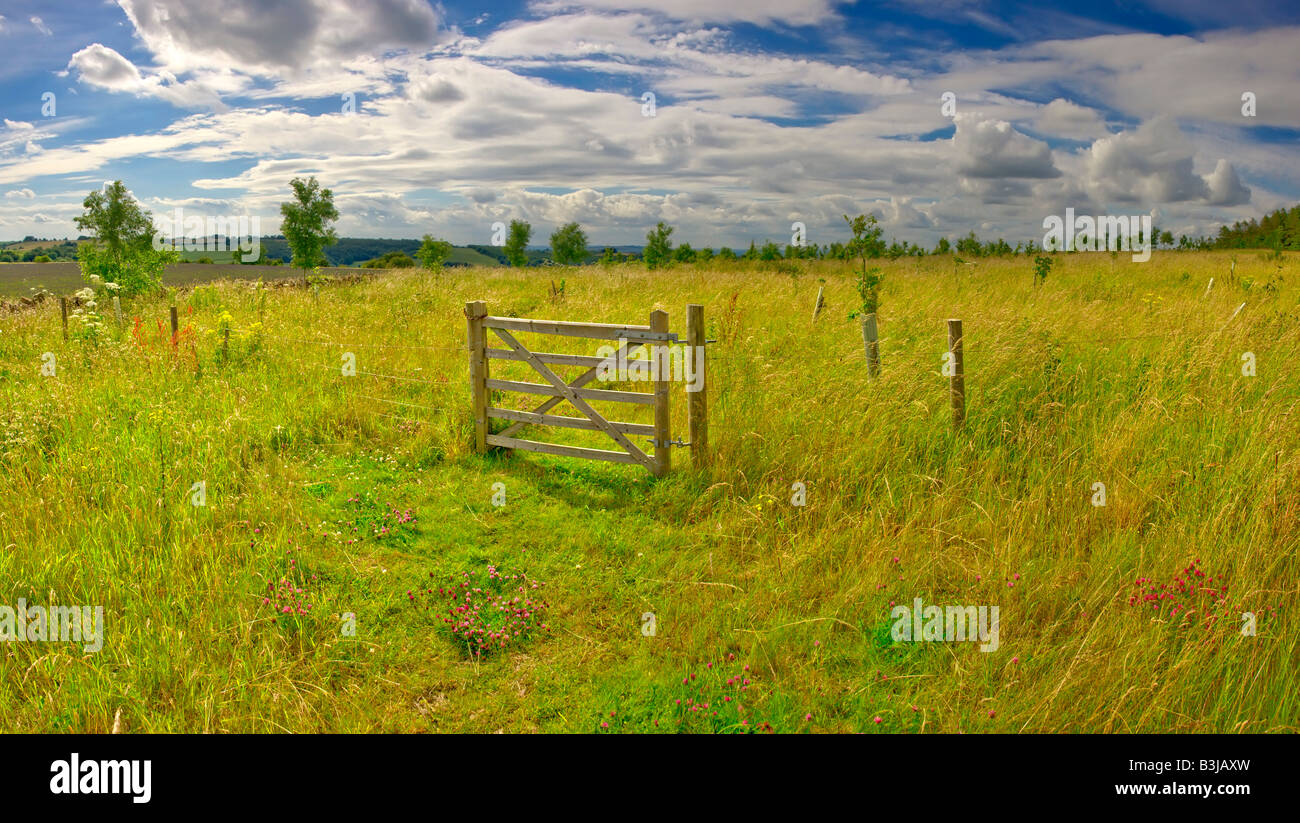 a gate in the middle of farmland fields with a plantation of young ...
