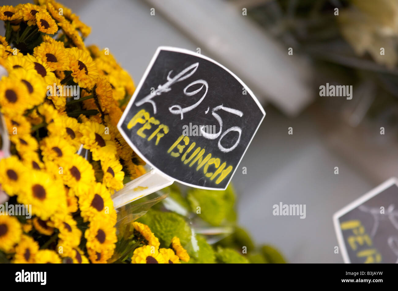 yellow flowers on a flower stall Stock Photo - Alamy