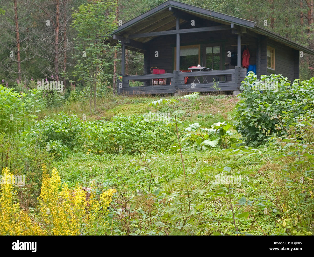 black block cabin timber wooden house in forest in Finland Stock Photo ...