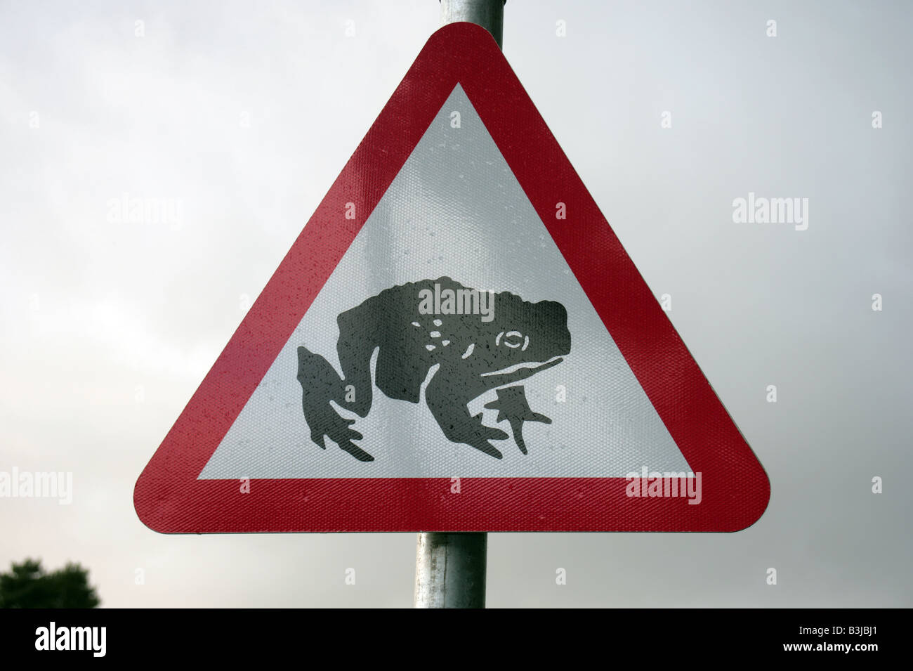 toads crossing warning sign Machynnleth Wales Stock Photo - Alamy