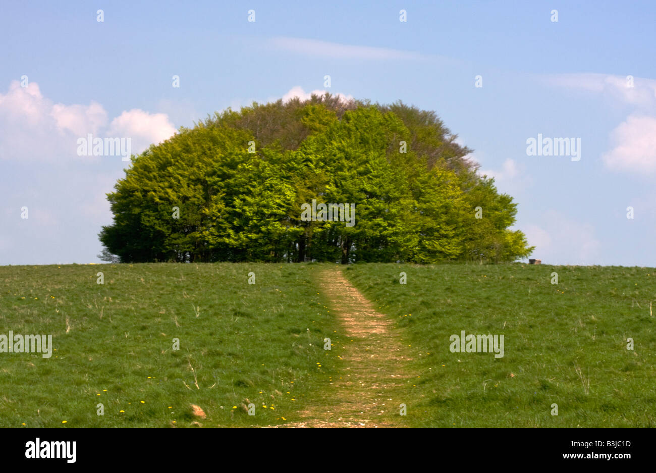 Win Green Hill in Dorset, UK Stock Photo - Alamy