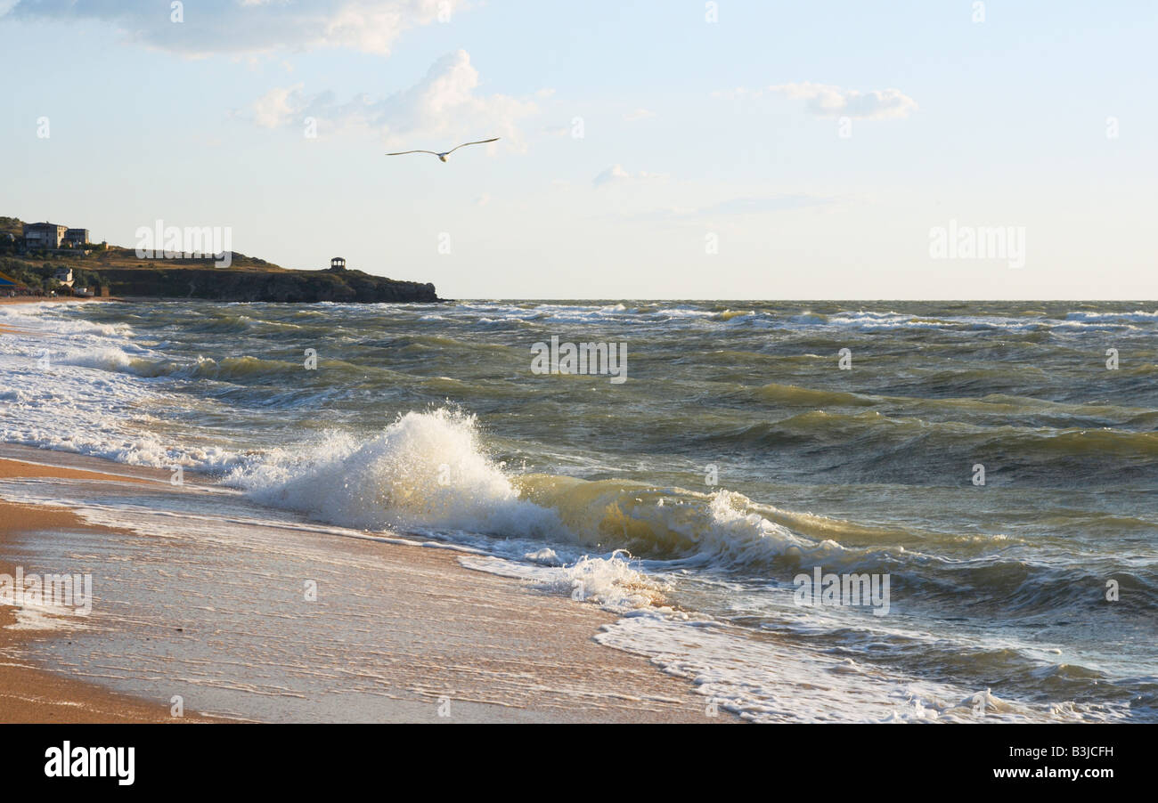 Sea surf wave break on coastline Stock Photo - Alamy