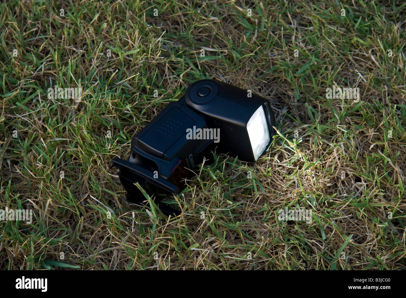 garden park grass plant green flash camera light black plastic ...