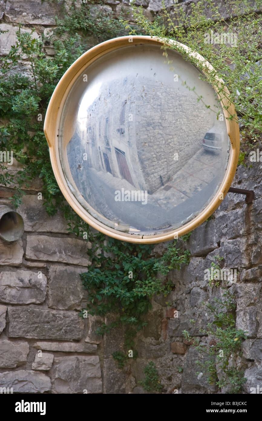 wall brick old, aged musk ivy plant green leaf leaves climber, creeper ...