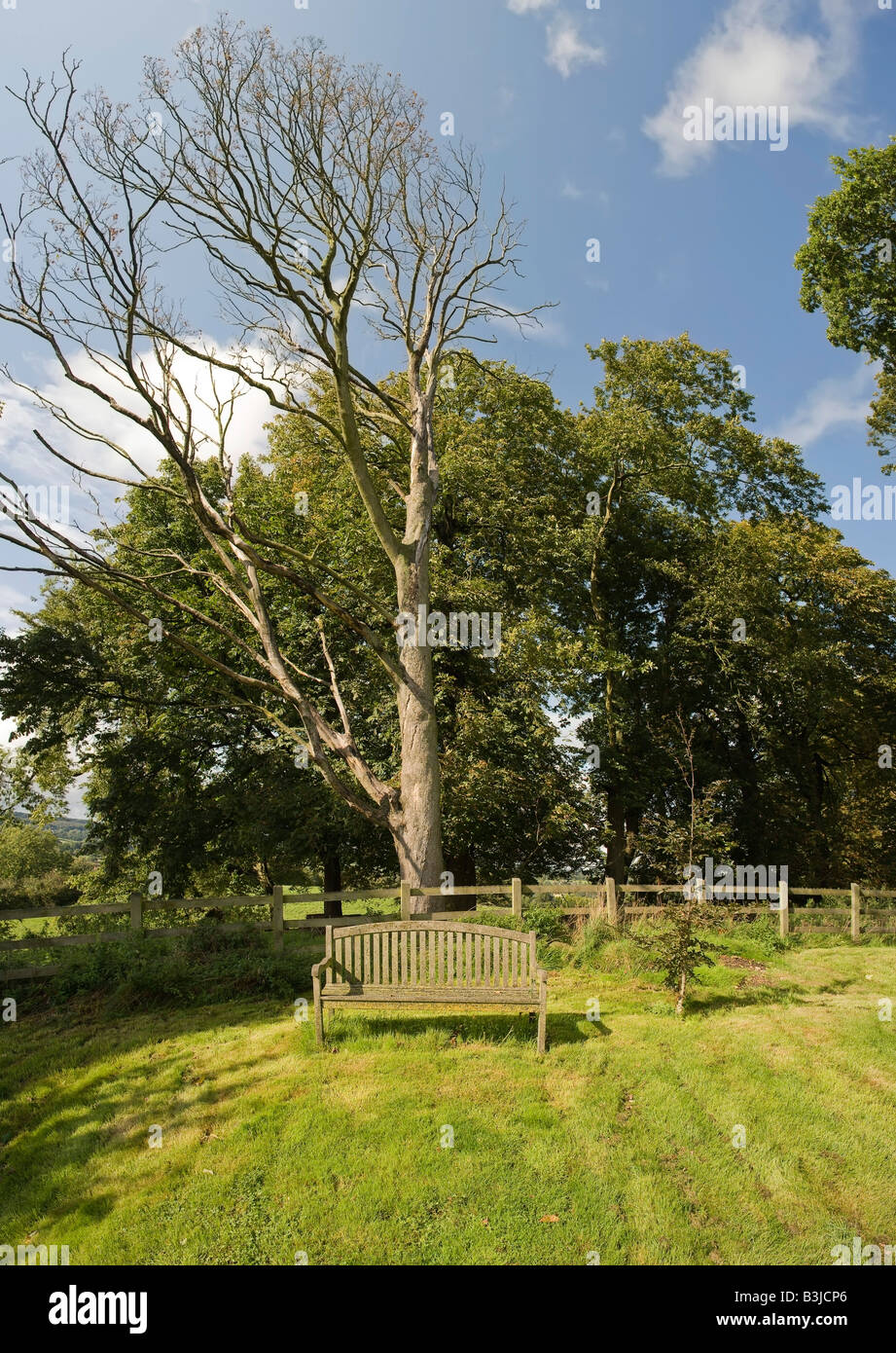 countryside beoley worcestershire midlands england uk Stock Photo - Alamy