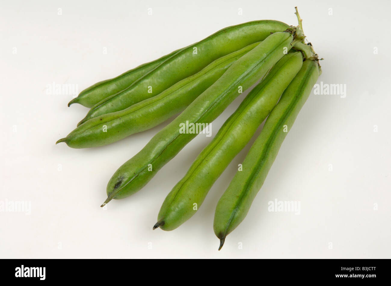 Broad bean pod hi-res stock photography and images - Alamy