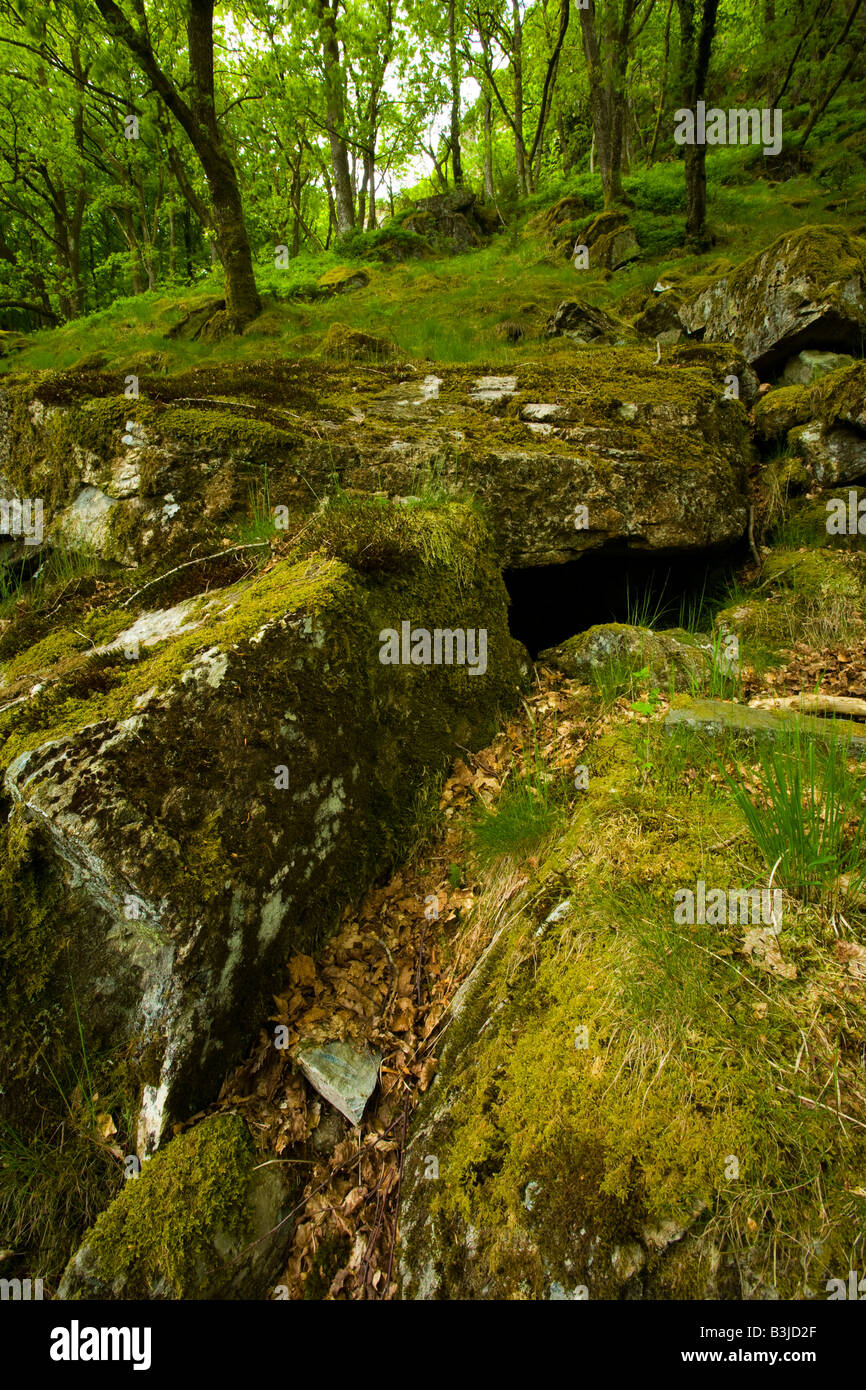 England Cumbria Lake District National Park Moss covered boulders in ...